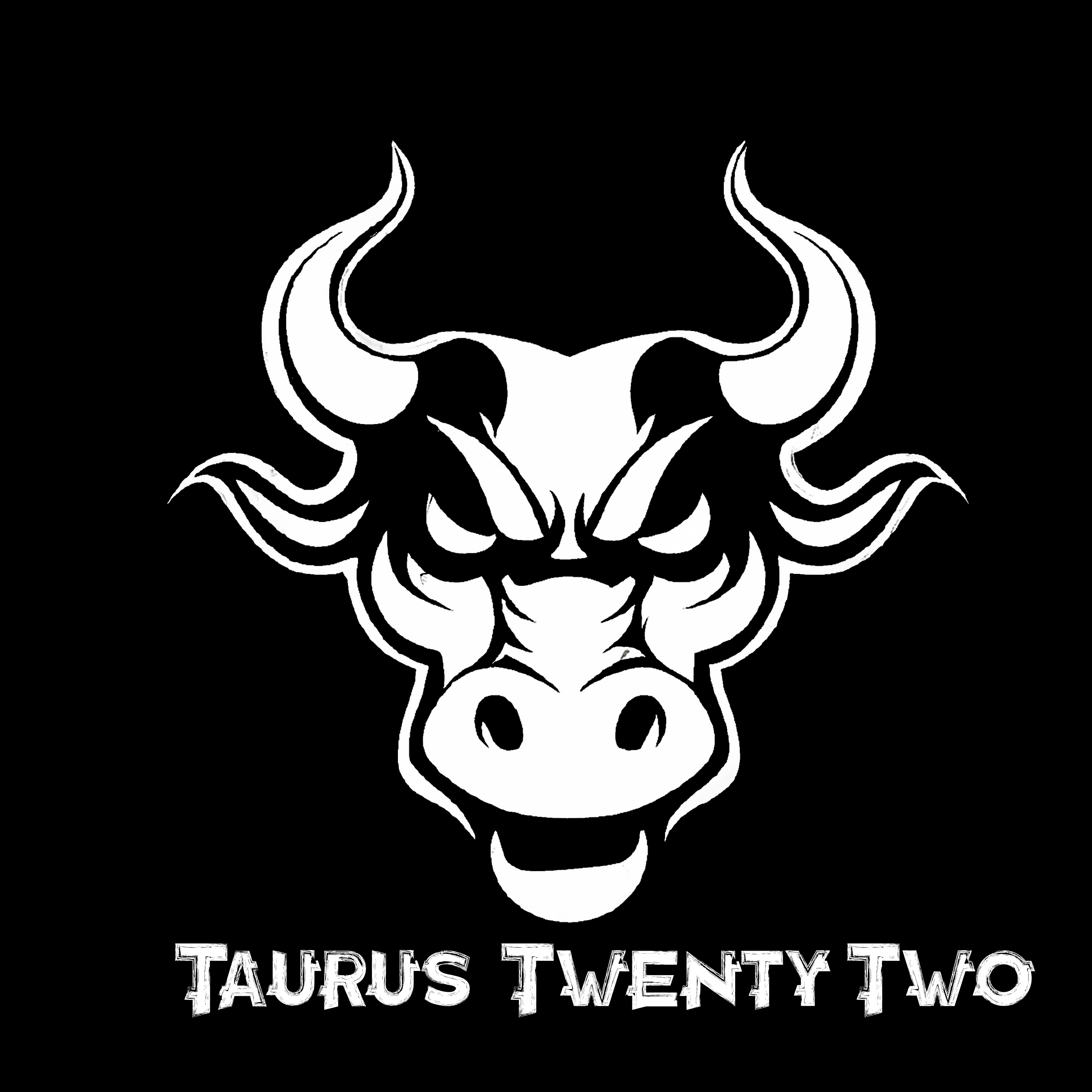 Taurus Twenty Two - Startseite